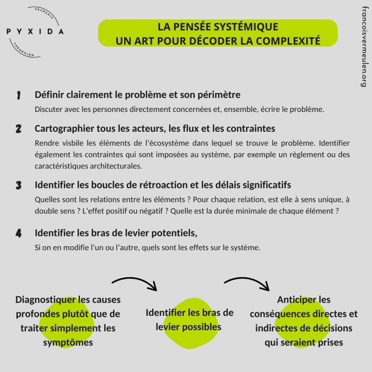 La pensée systémique – Un art pour décoder la complexité – François ...